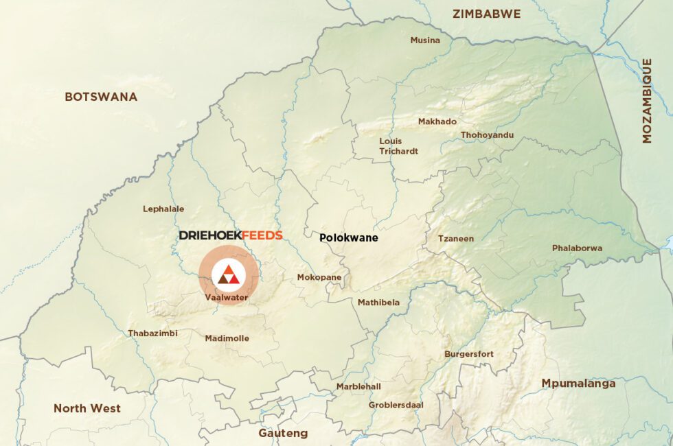 Driehoek Feeds - Epol - The perfect balance in animal feed